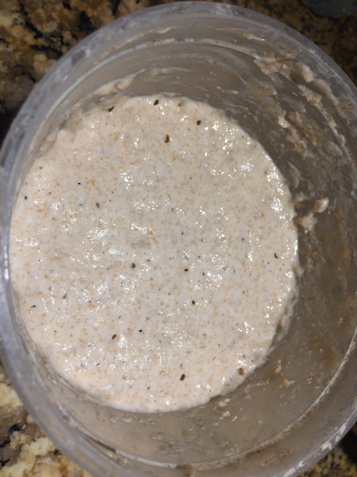 What is levain and starter and how to make it for home bakers