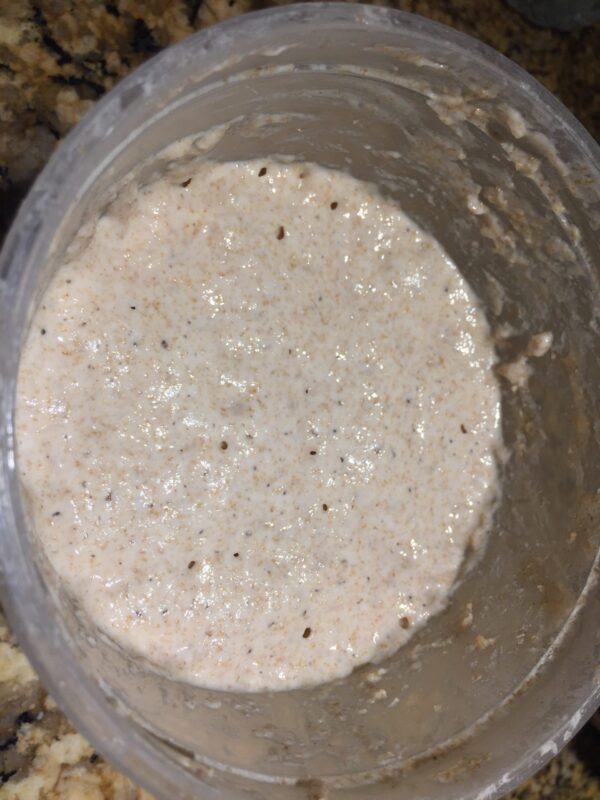 What is levain and starter and how to make it for home bakers