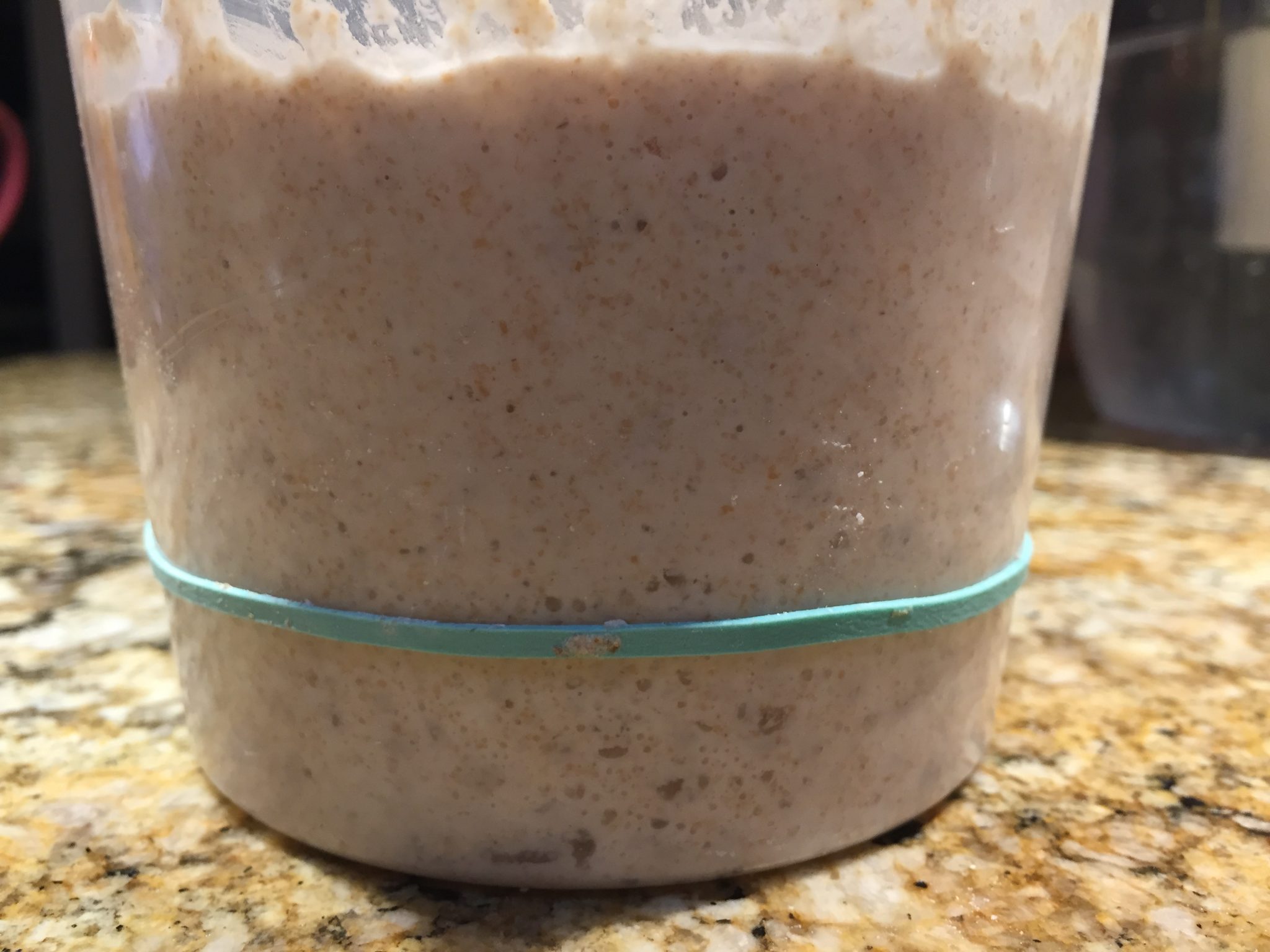 What is levain and starter and how to make it for home bakers