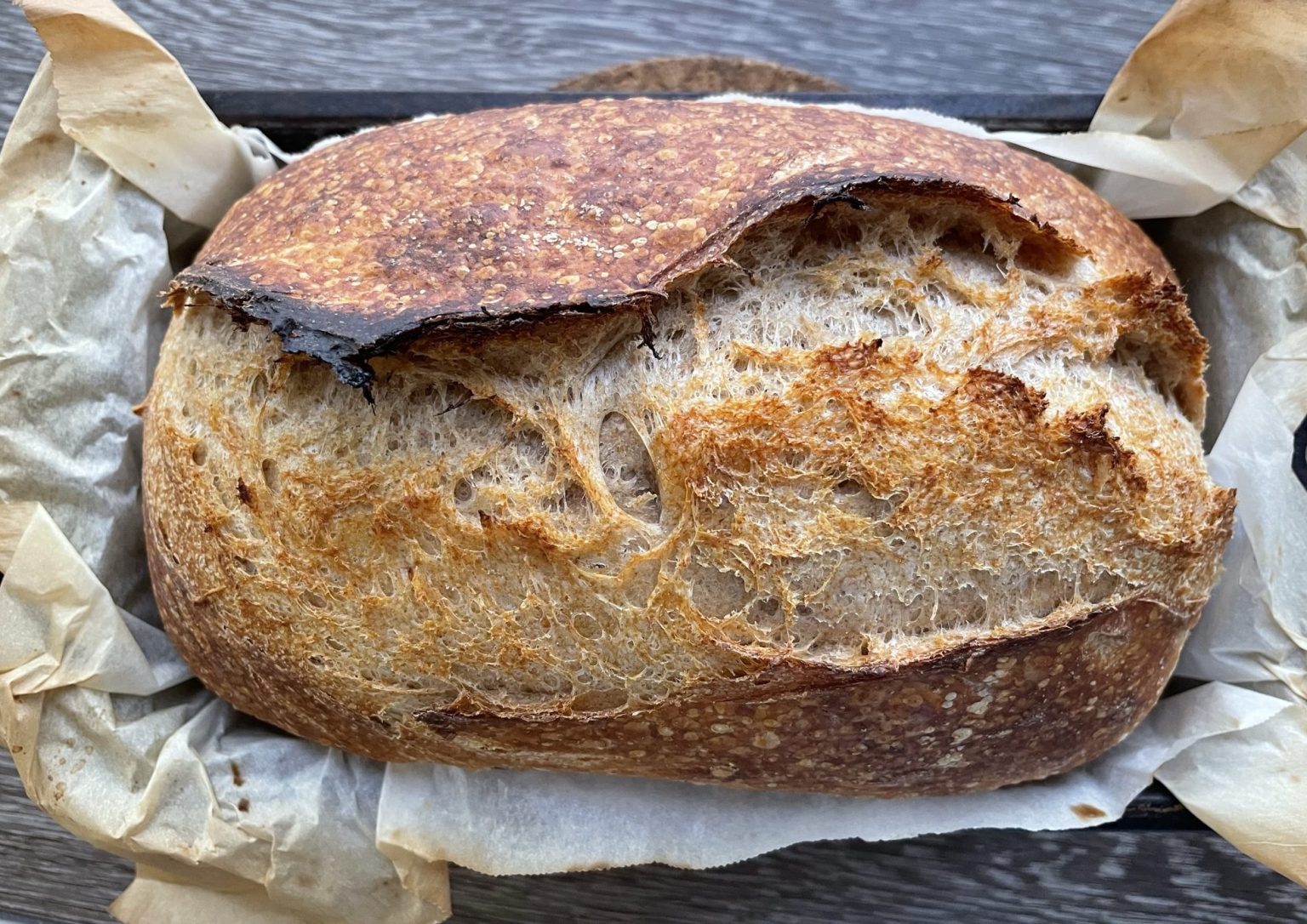 Proof your Sourdough - sammywongskitchen