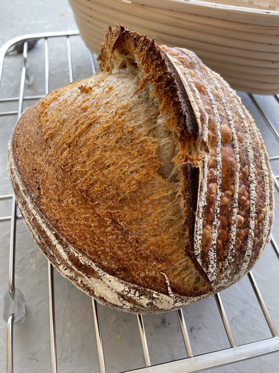 WALNUT AND CITRUS SOURDOUGH BREAD - sammywongskitchen